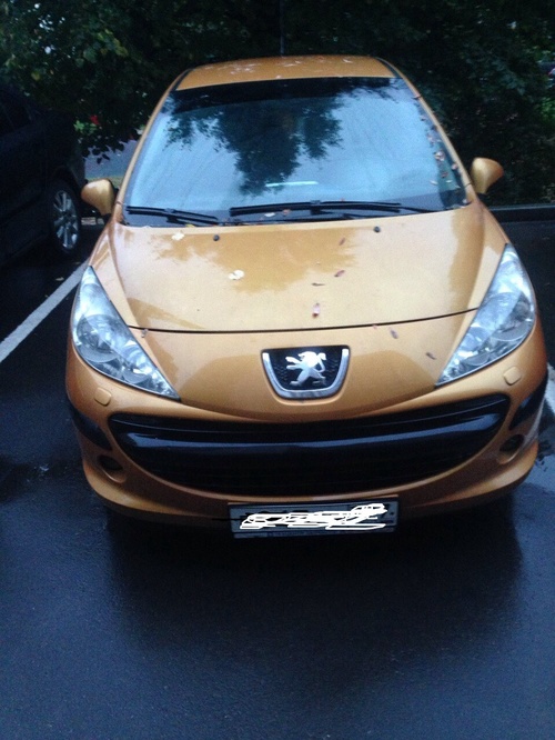 Peugeot 207 '2007, 1 поколение